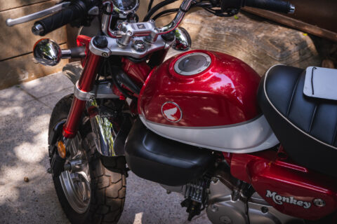 2019 Honda Monkey - The Garage